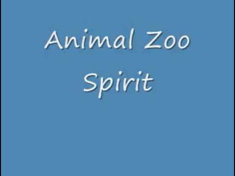 Animal Zoo - YouTube