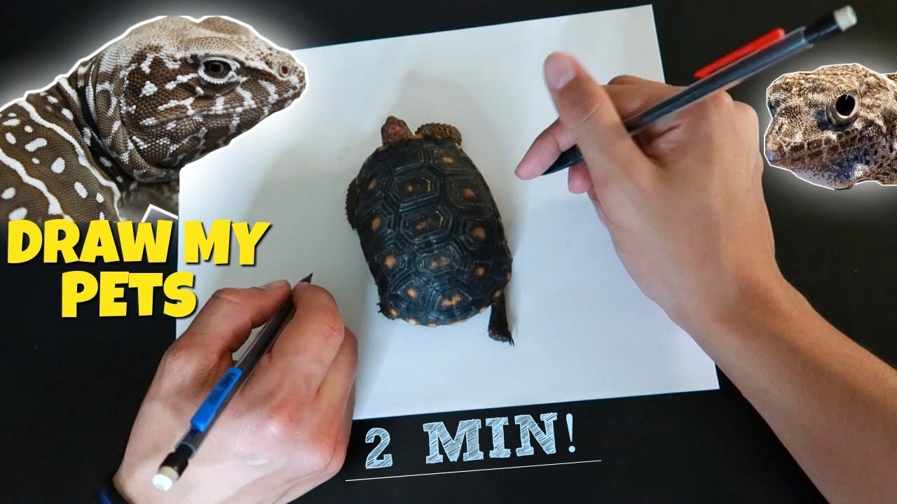 DRAW MY PETS CHALLENGE! - YouTube