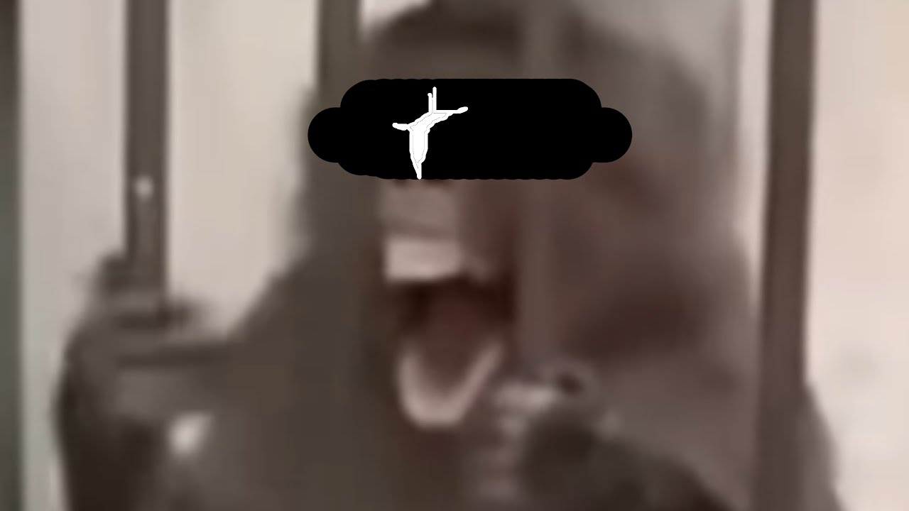 The Angry Monkey Meme - YouTube