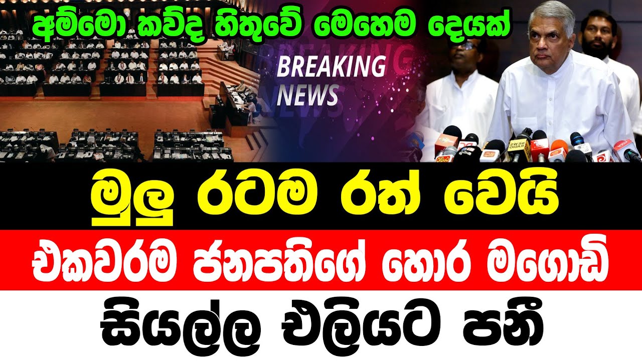 News Alert | Special Here is special news just received - YouTube