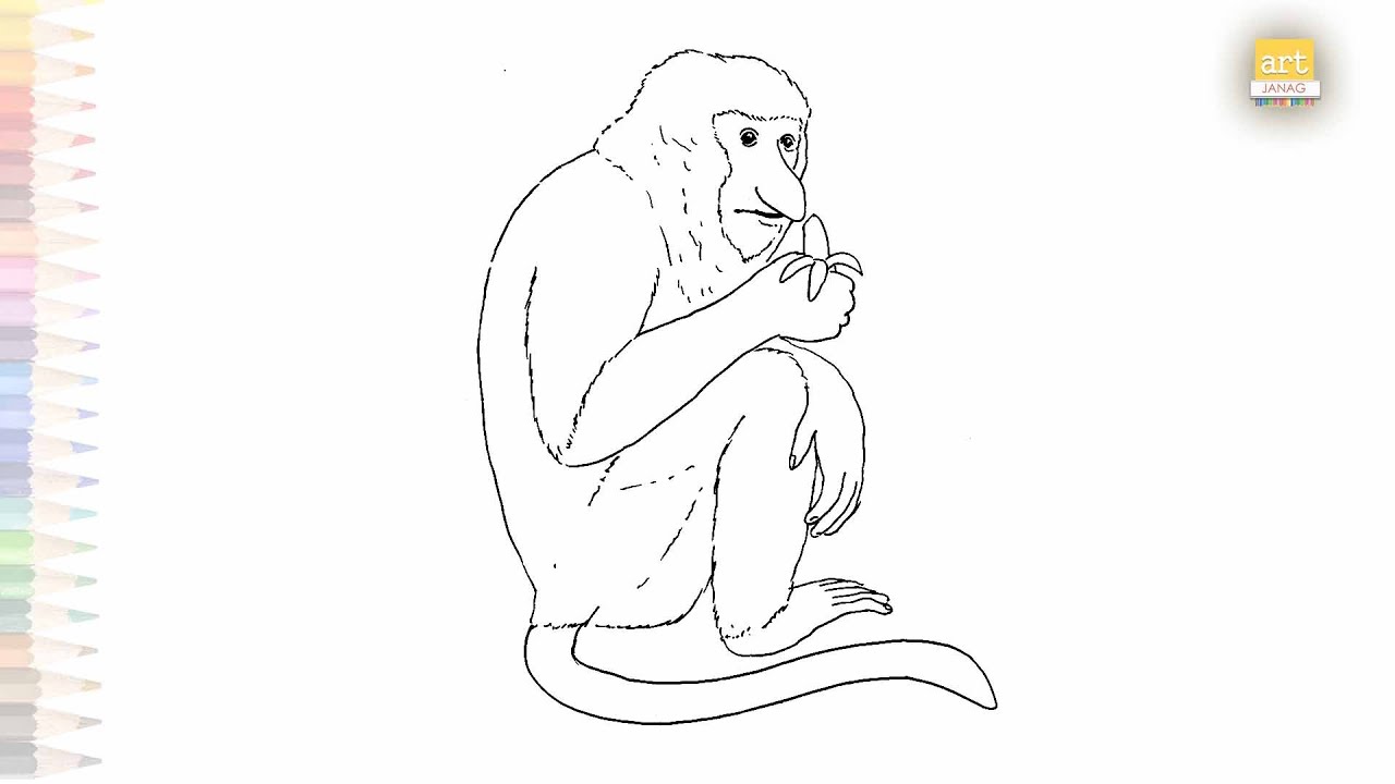 Long nosed monkey drawing easy | Simple Art | How to draw A Proboscis ...