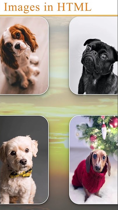 "Awww!" 🐶 This Is How to Build a Cute PUPPIES Gallery In HTML & CSS! 🐶 ...