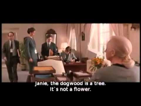 Flower scene - YouTube
