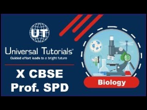 NRL24 - X CBSE BIOLOGY SPD 26/09/2023 - Heredity And Evolution - YouTube