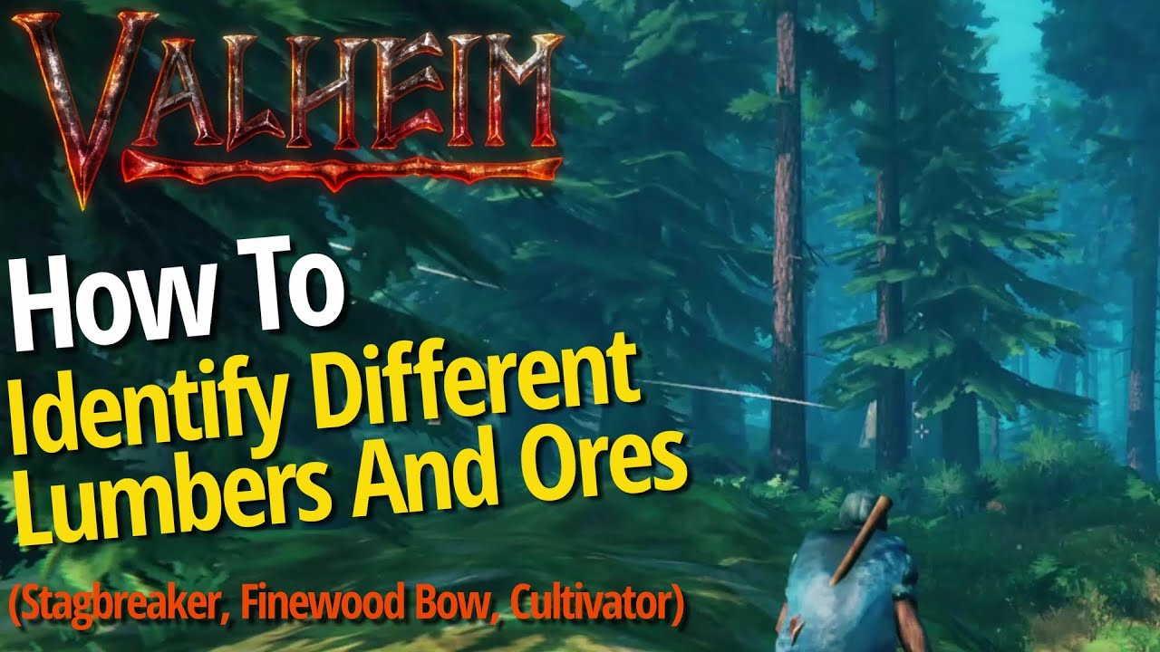 How To Get Core Wood, Fine Wood, Copper And Tin - Valheim - YouTube