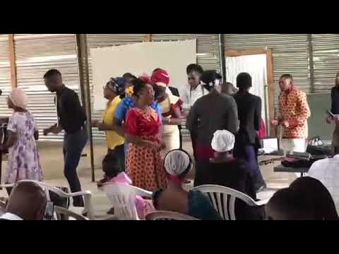 Tree of life Afm AGS - YouTube