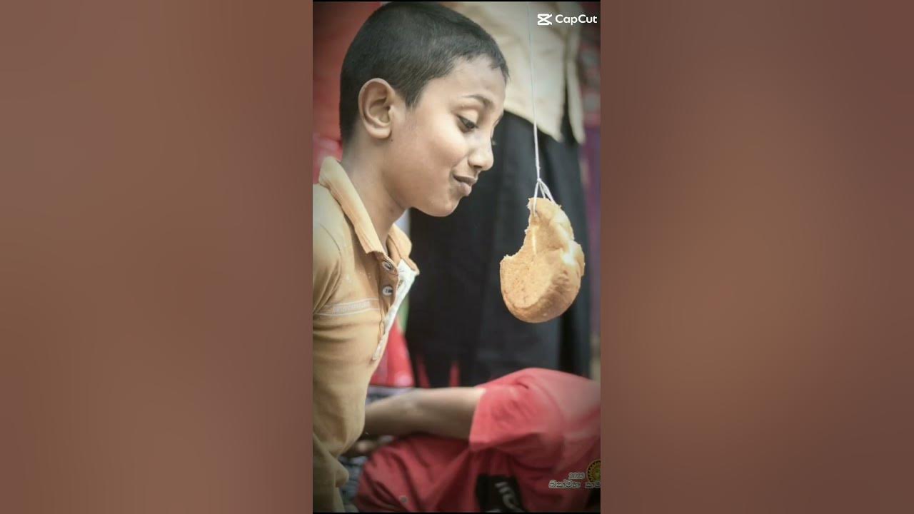බක්මහ කමත සූර්ය මංගල්යය 2023 Shorts Youtube