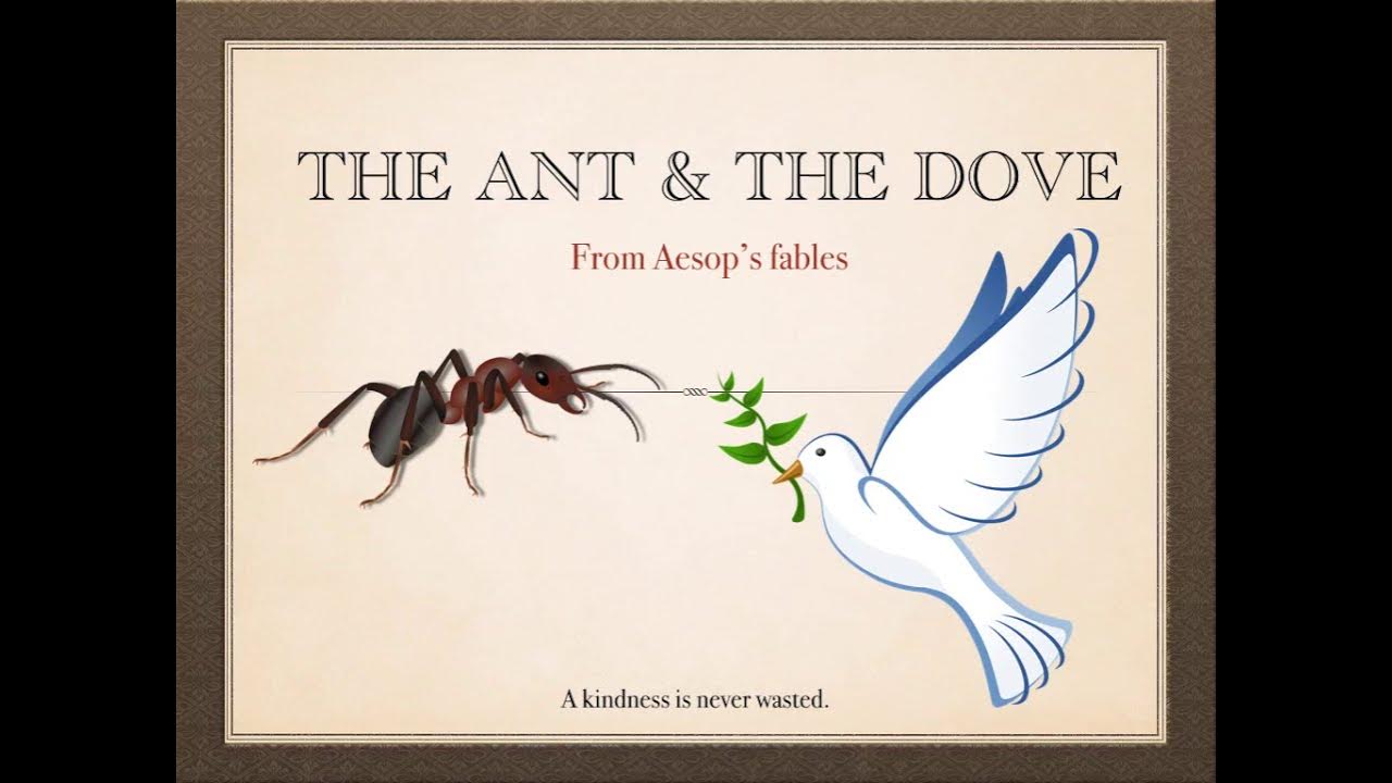 Aesop's Fables - The Ant & The Dove - A kindness is never wasted. - YouTube