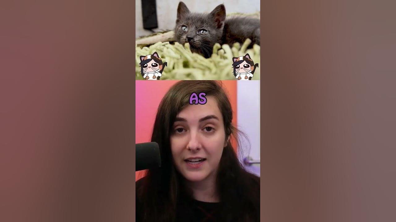 Political Streamers Wont Save The World Twitch Twitchstreamer