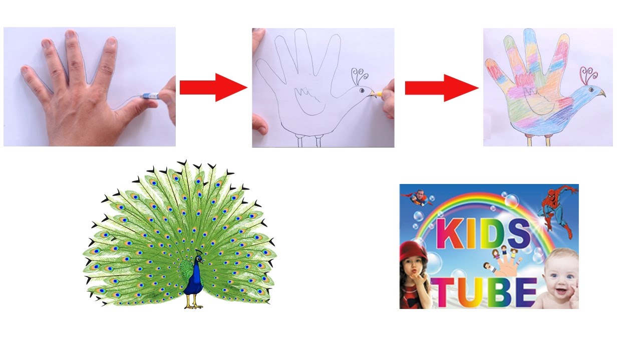 How to draw peacock with hand and learn color for kids| Kidstube - YouTube