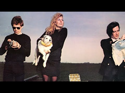 The Hawaiian Pups - Young Boys
