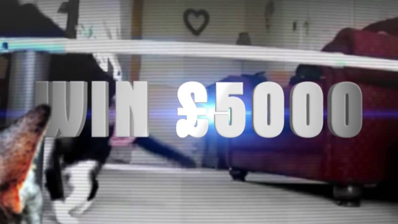 Felix and BGT Britain s Cleverest Cat 2014 - Coming Soon Promo.mp4 ...