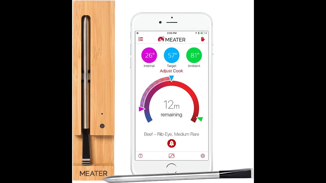 MEATER Termometro Bluetooth Sonda Senza Fili Forno Grigliate Barbecue ...