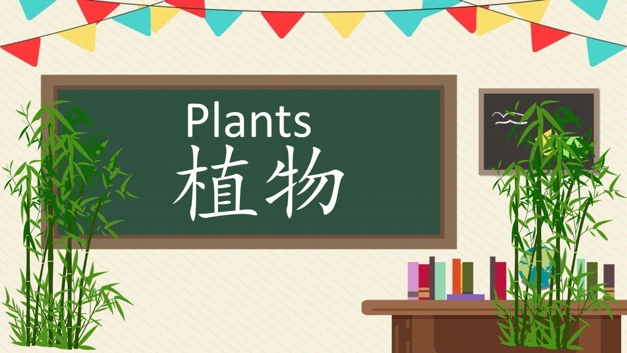 Mengenal Tumbuhan dalam Bahasa Mandarin | Plants | Chinese Vocabularies ...