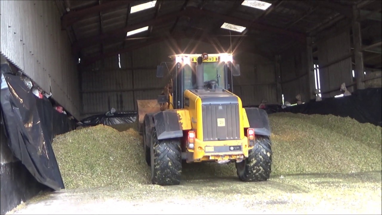 MAIZE HARVEST 2019 PART 3.FILLING THE CLAMP - YouTube