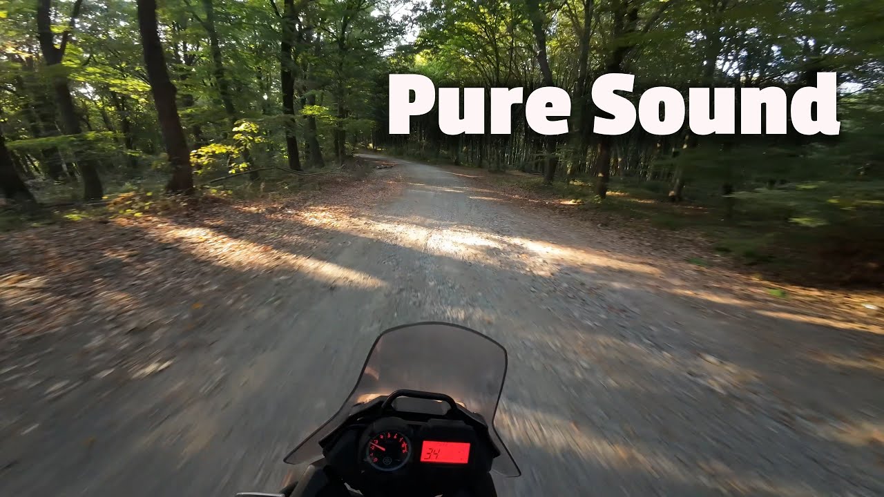 Relaxing Motorcycle Ride Through the Forest Dirt Road Pure Sound ...