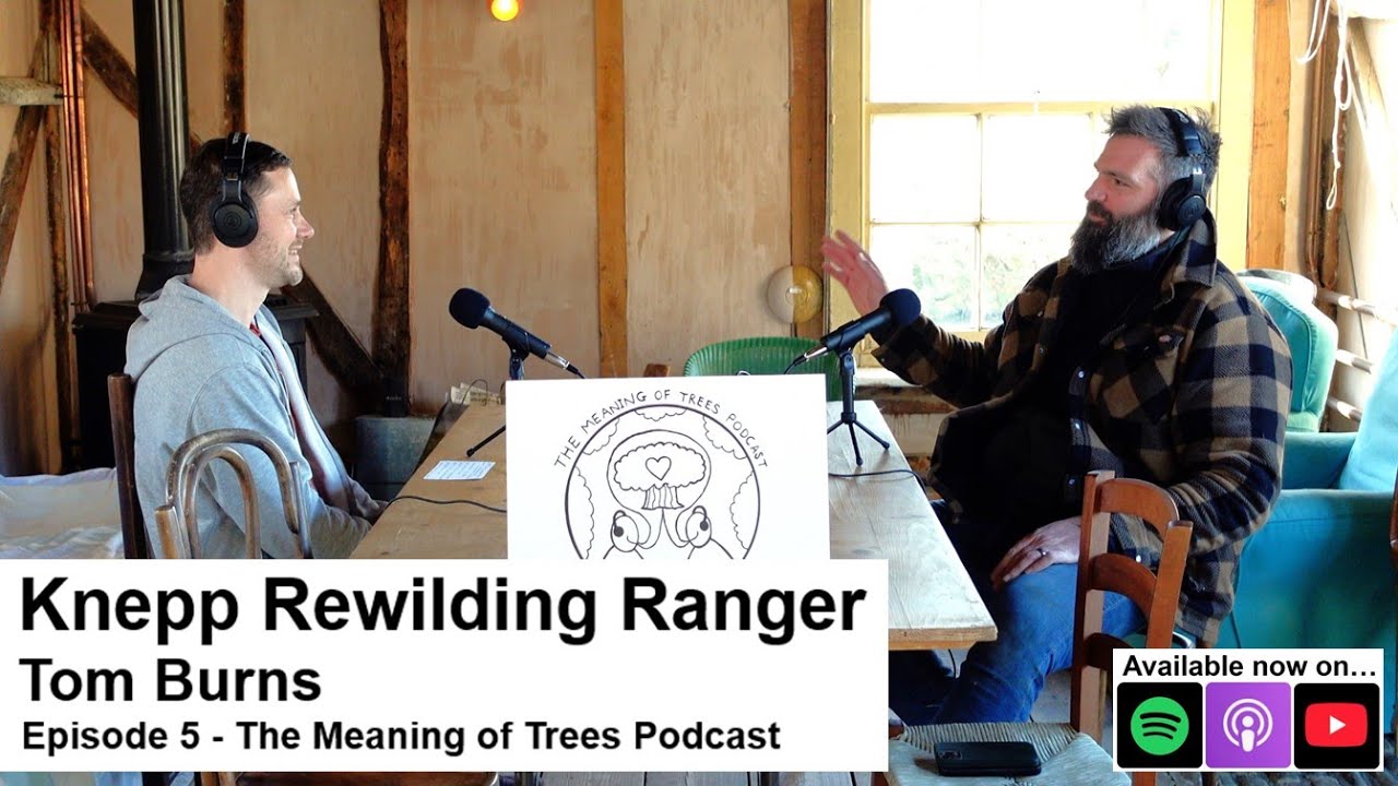 Knepp Rewilding Ranger - Tom Burns - @Rustic_Ranger - E5 (Full Episode ...