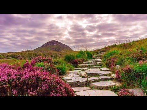 Very nice full HD WhatsApp status nature video || Nature love