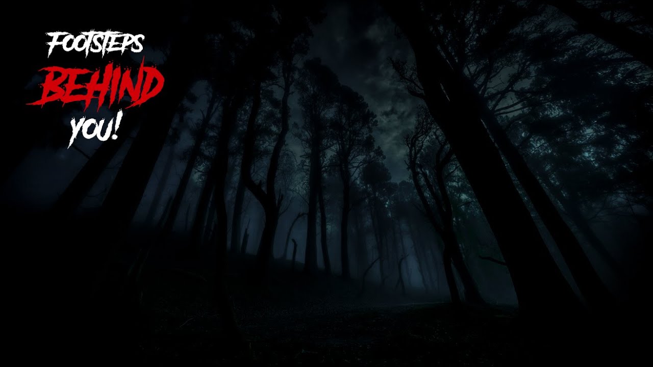 Terrifying True Horror Stories That Will Haunt Your Dreams | Real Scary ...
