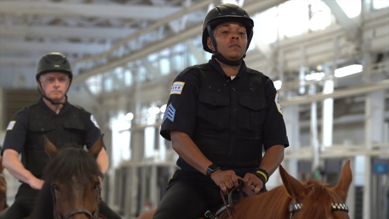 CPD Mounted Unit - YouTube