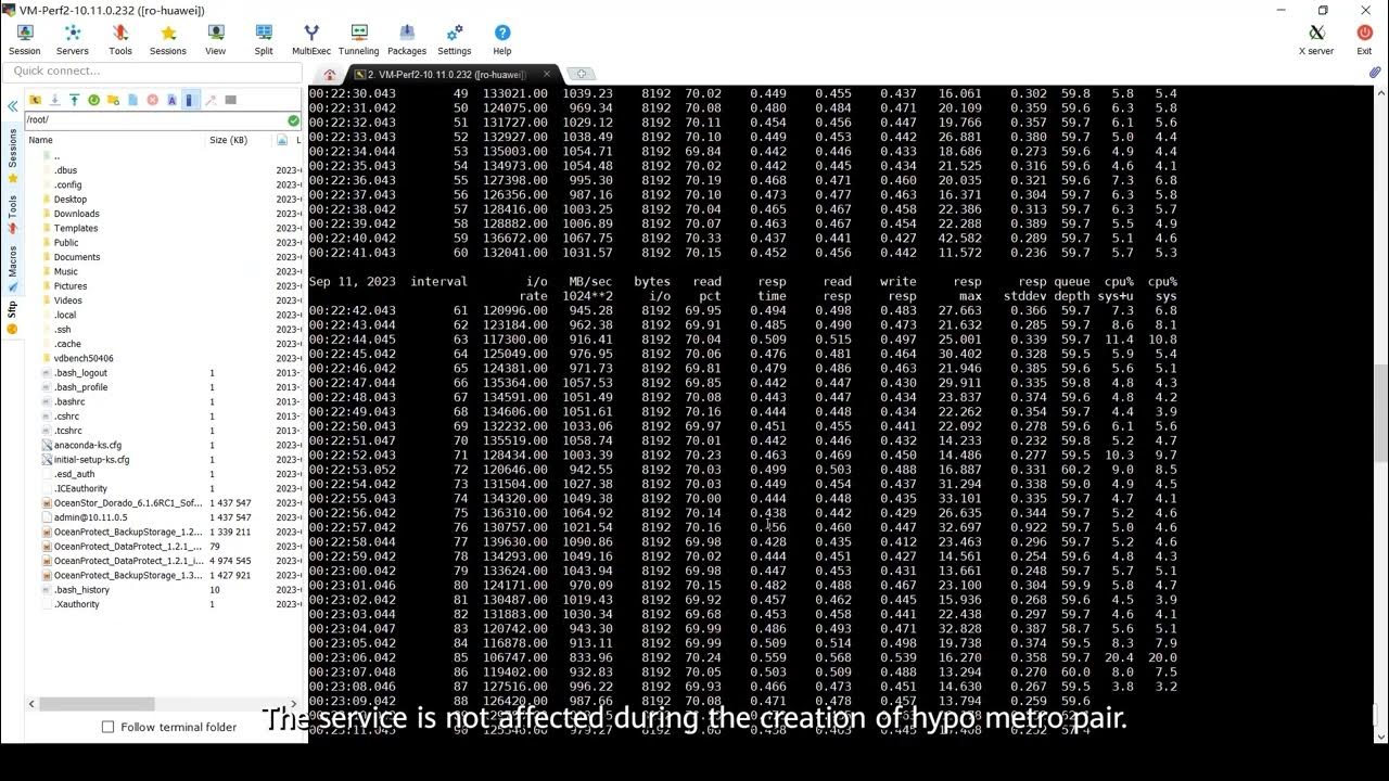 OceanStor Dorado SAN POC HyperMetro Online Deployment & A A Balancing ...