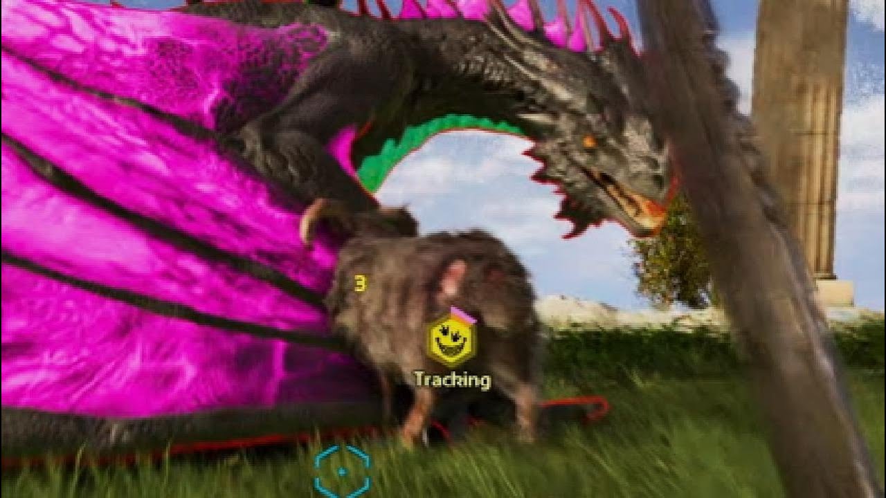 Dont mess with Kirayli - YouTube
