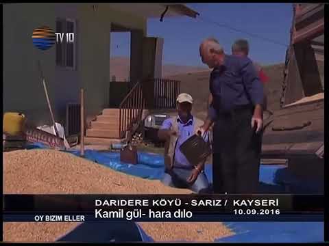 Yıllar Öncesinden Kalan O Kayıt… Kamil Gül – Hara Dılo | Darıdere