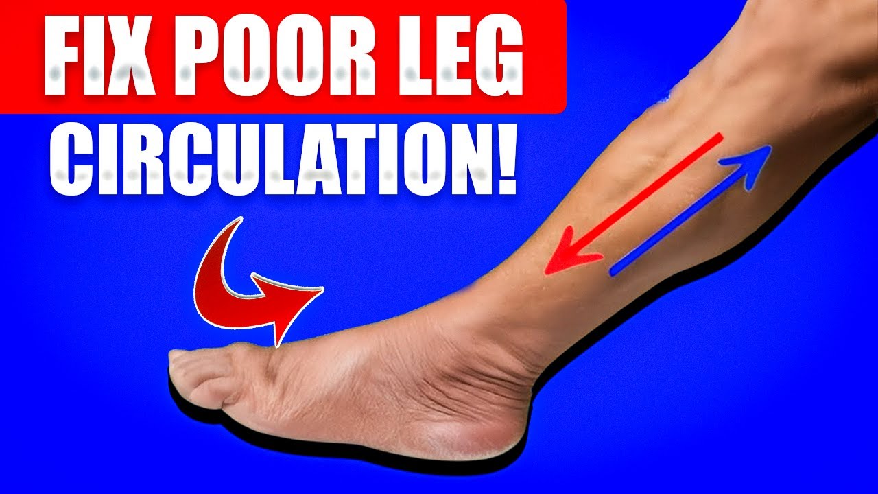The ONLY 3 Exercises you NEED to Improve Leg Circulation - YouTube