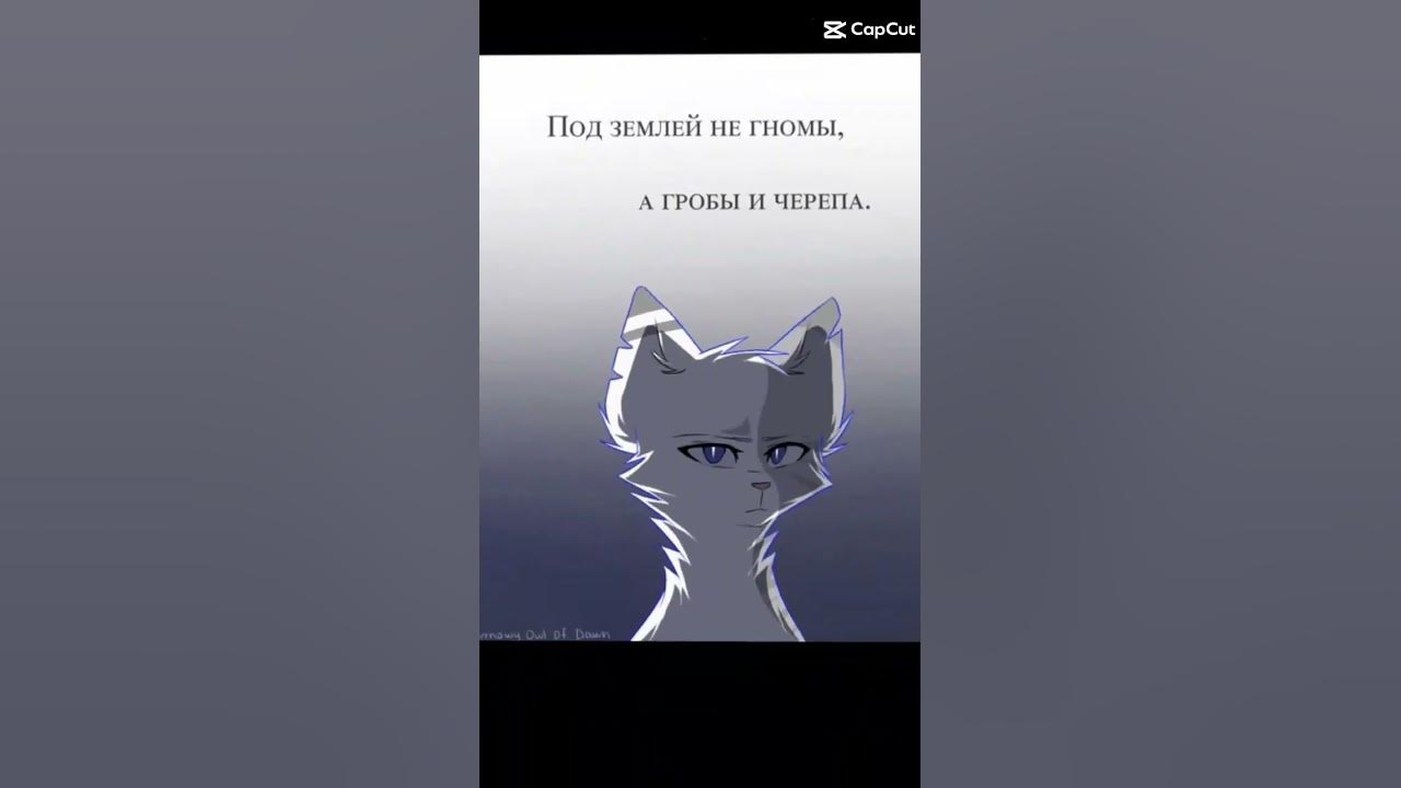 Эдит Коты Воители Синяя Звезда Рыжинка Искра Ласточка заказ