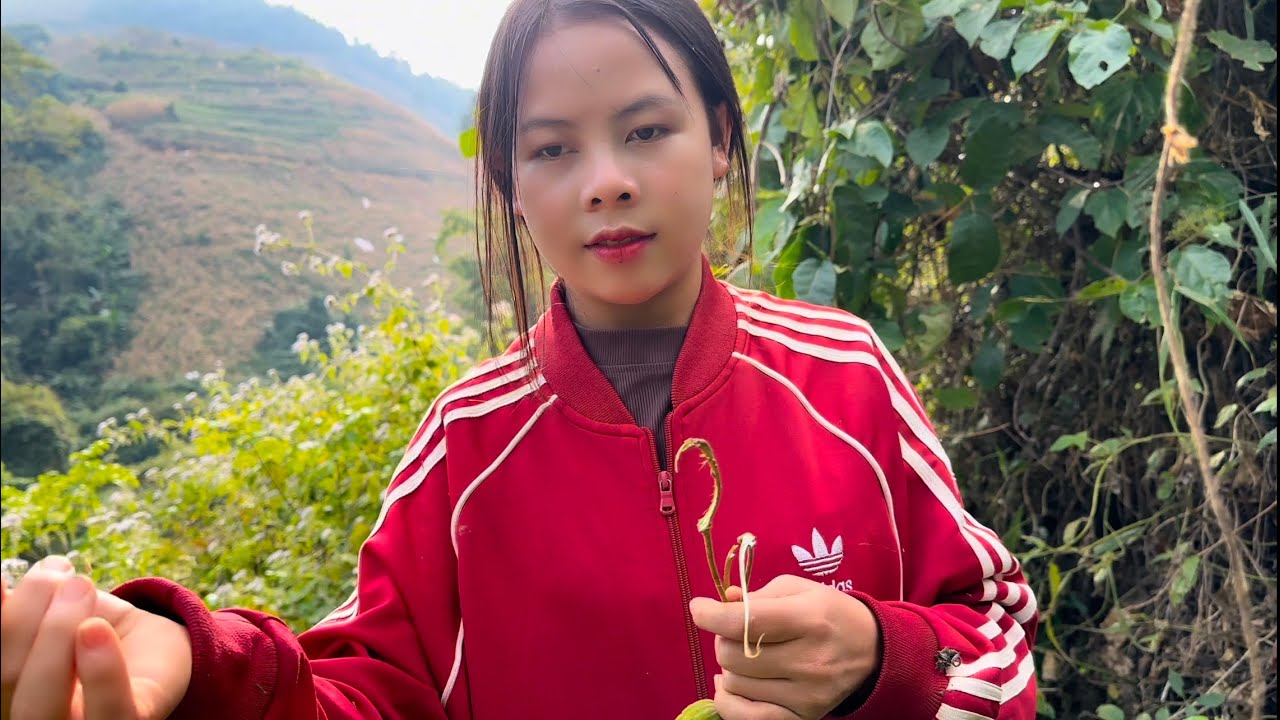 Niam Tsheej Moua , Maiv Paj Kub Mus txiav tsawb pub os Thiab Pub Ntses - YouTube