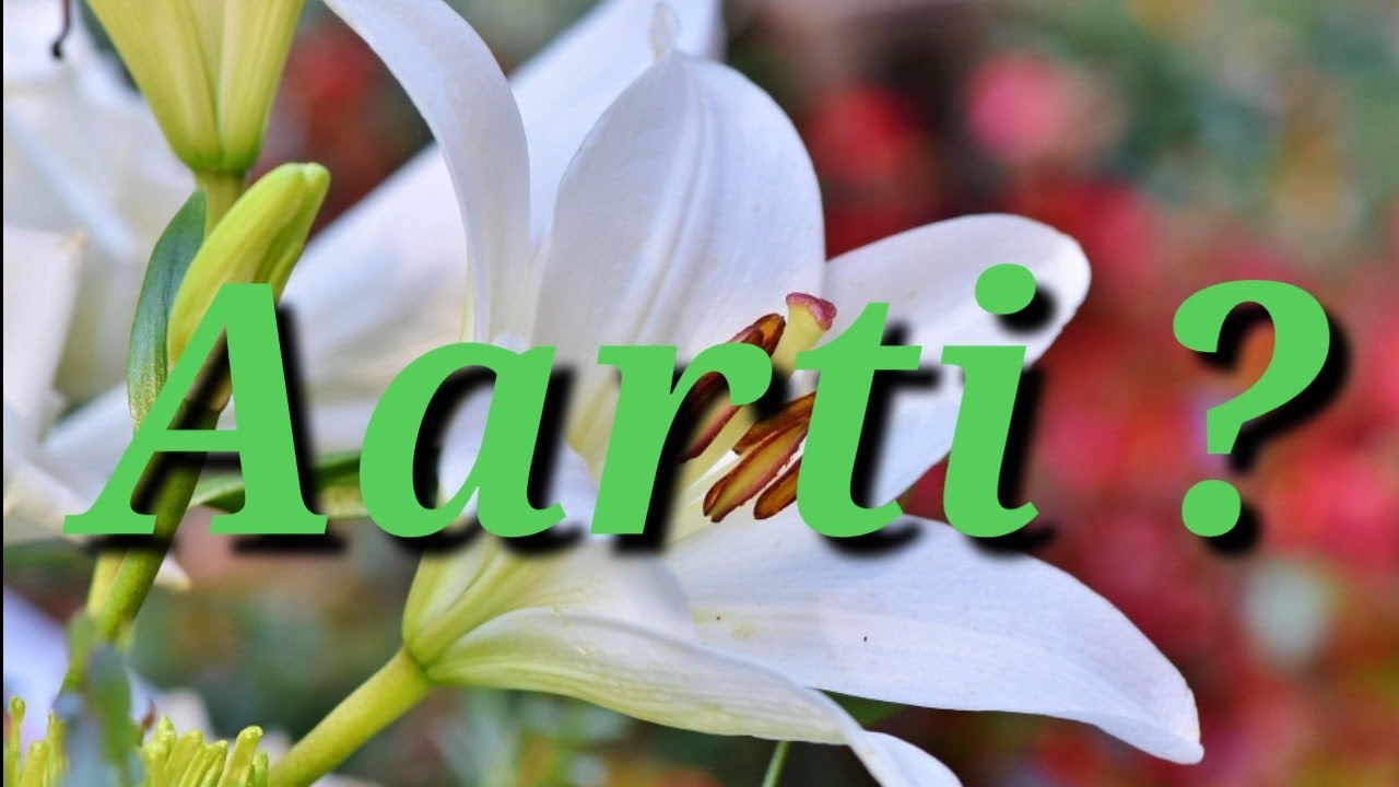 Aarti Name Ke Meaning | Aarti Name Status | Aarti Naam Ka WhatsApp ...