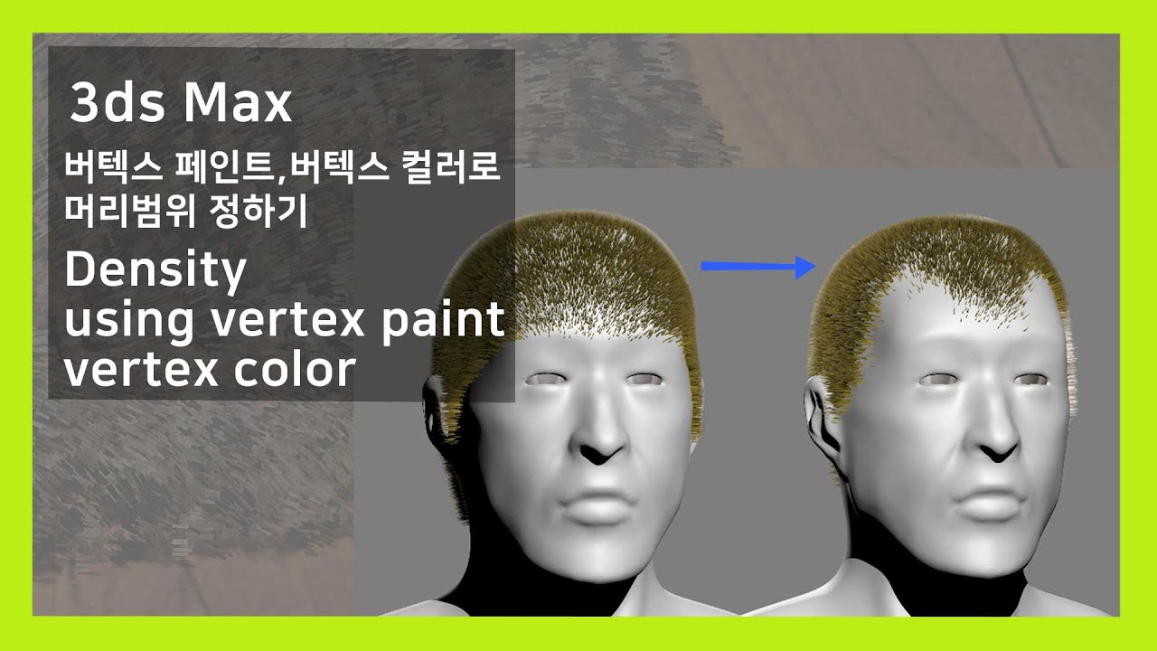 3ds Max 헤어앤퍼 -버텍스페인트,버텍스컬러로 머리범위 정하기- Hair and Fur -density using ...