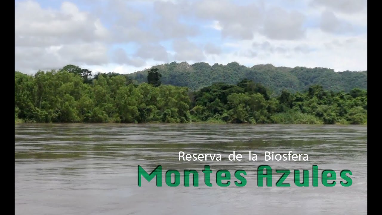 Reserva de la Biosfera Montes Azules - YouTube