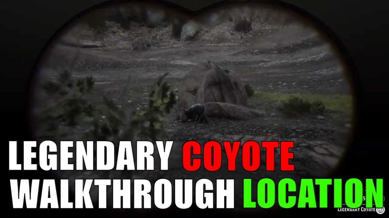 Red Dead Redemption 2 - Legendary Coyote Location Walkthrough - YouTube