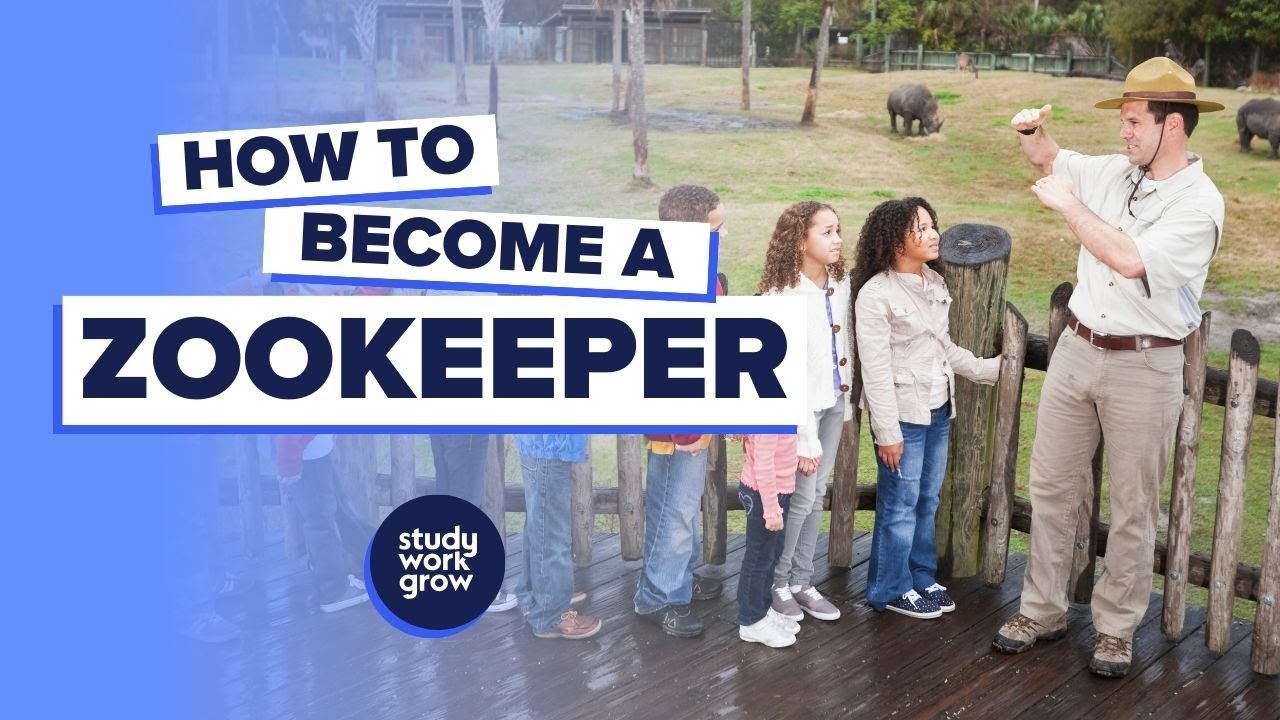 How to become a Zookeeper - YouTube
