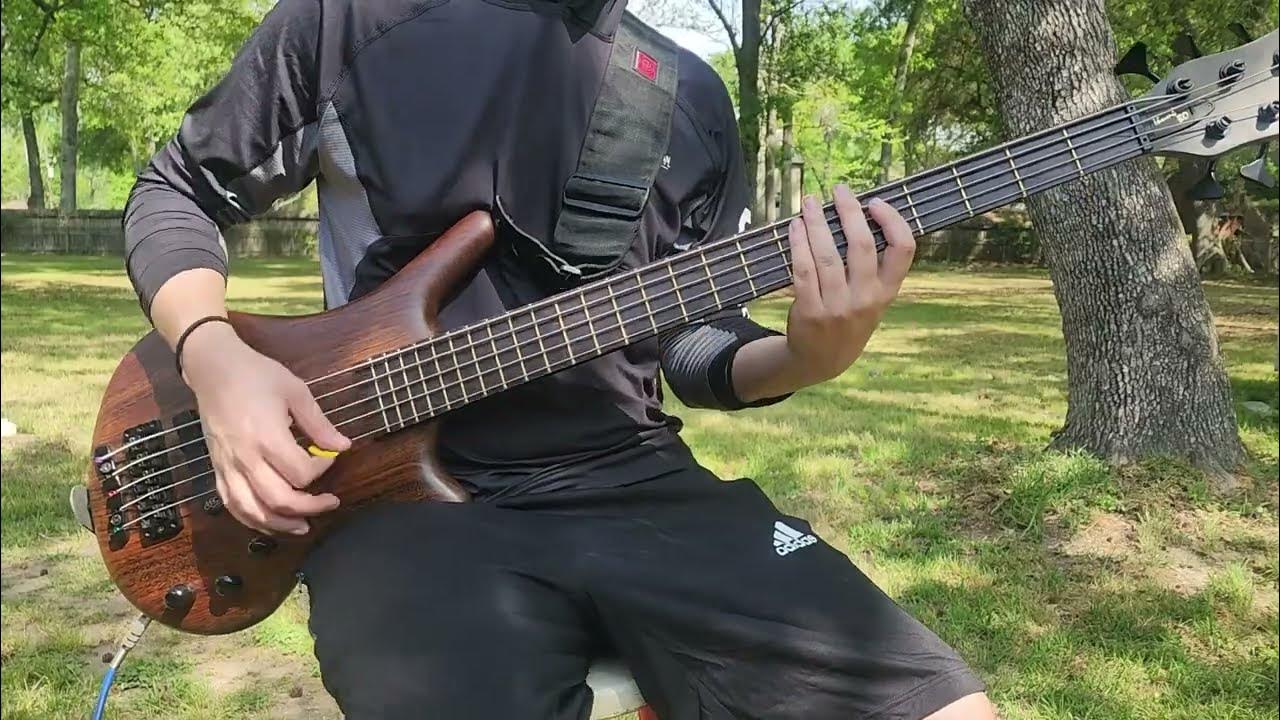 Tool Sober Bass Cover Youtube