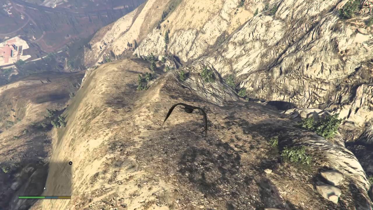 Grand Theft Auto V PCK bird - YouTube