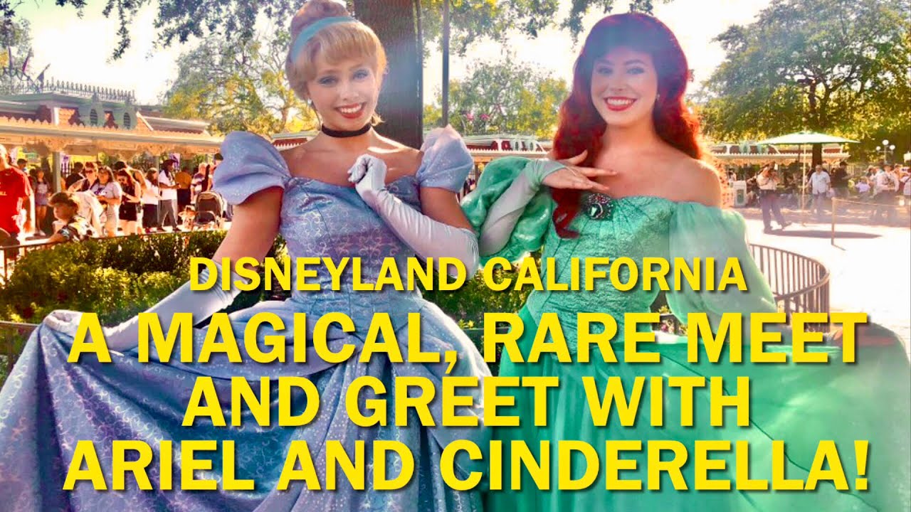 Ariel and Cinderella Join for a Magical, Rare Meet and Greet TOGETHER ...