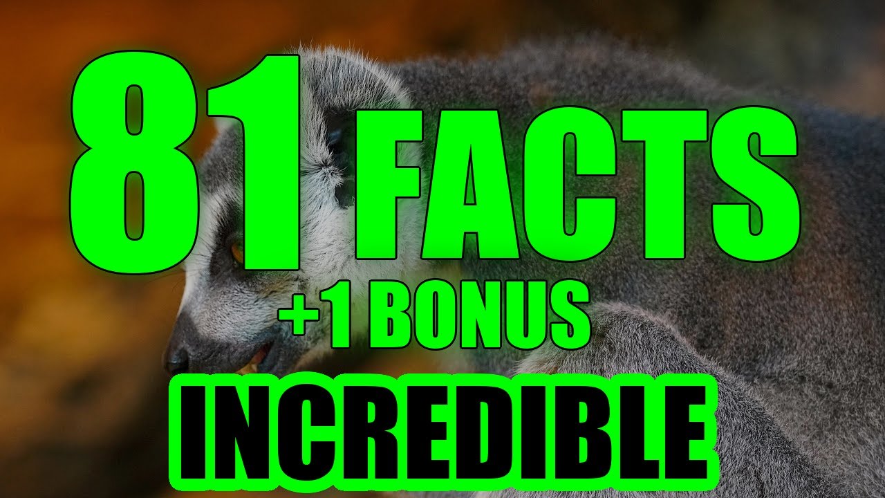 81 Interesting Facts That Are Surprisingly True- (+1 Bonus Fatc) - YouTube