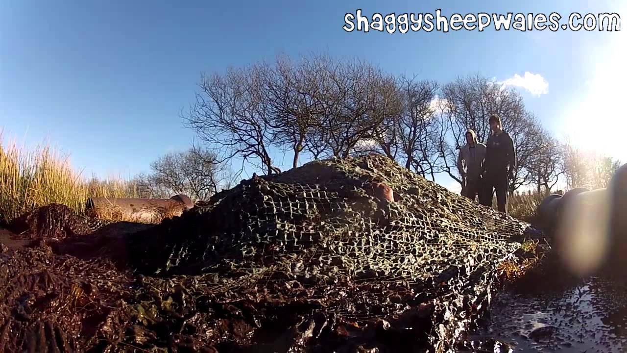 Fun Mud Assault Course with Shaggy Sheep Wales - YouTube