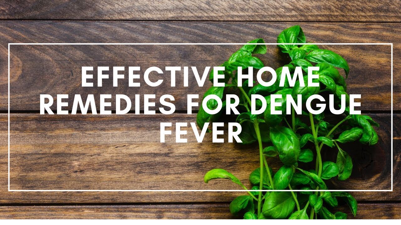 Effective Home Remedies for Dengue Fever - YouTube