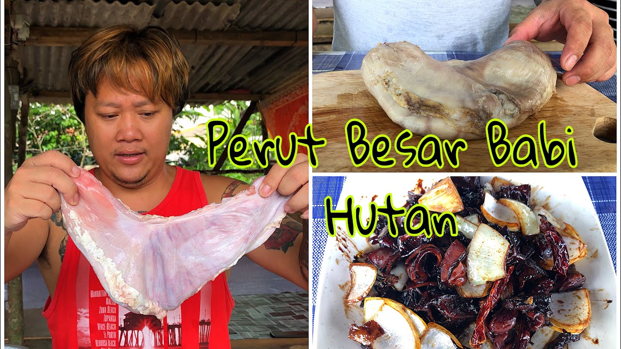 Perut Besar Babi Hutan Segar Masak Goreng Kering Dengan Cara Chef ...