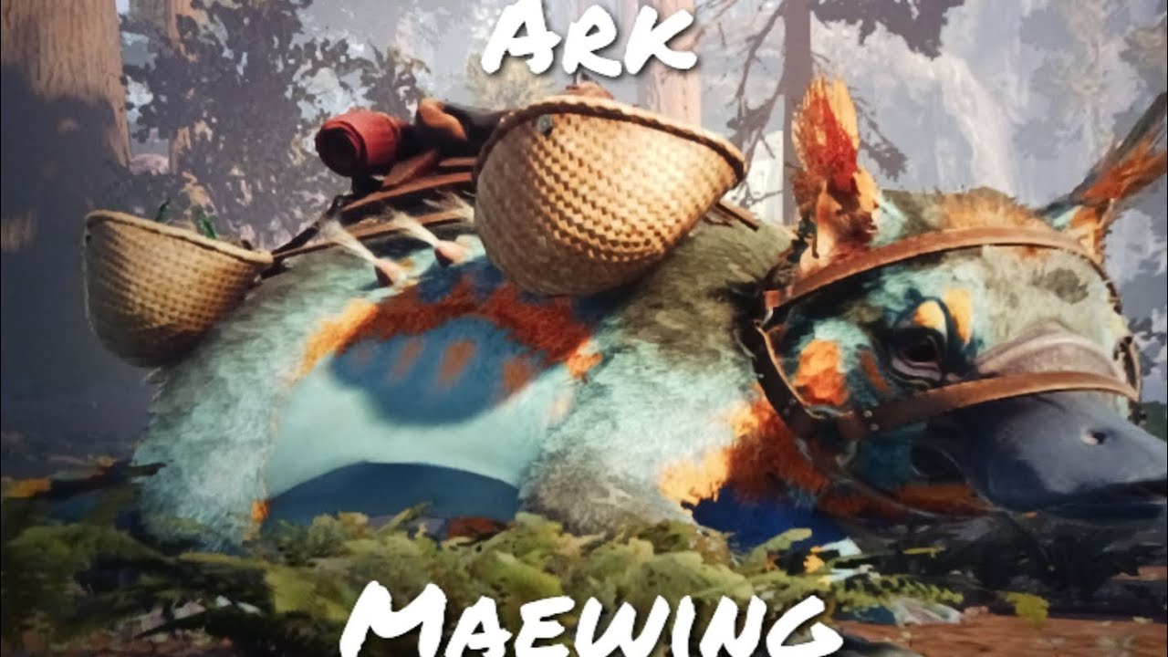 Ark Taminng a perfect 145 Maewing - YouTube