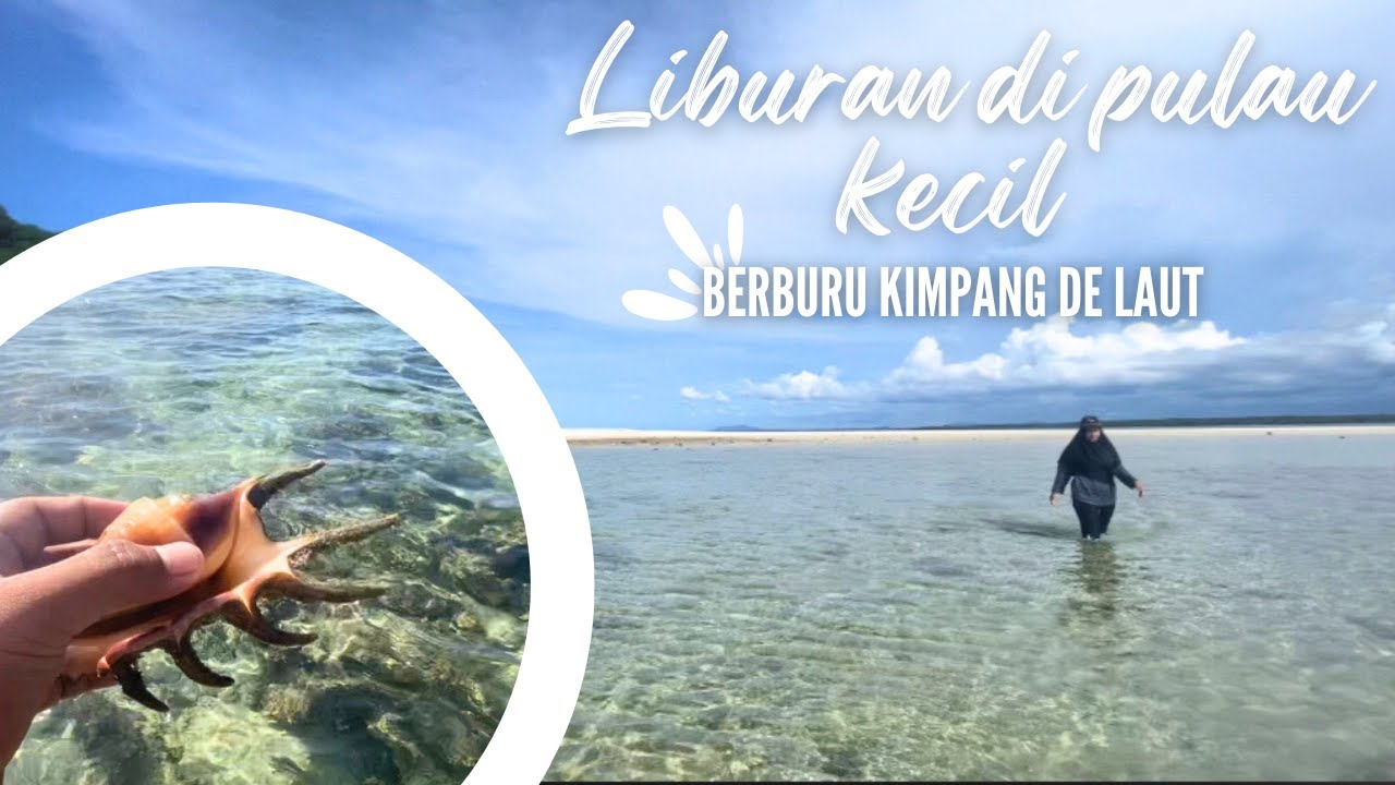 Liburan mencari kimpang di pulau kecil - YouTube