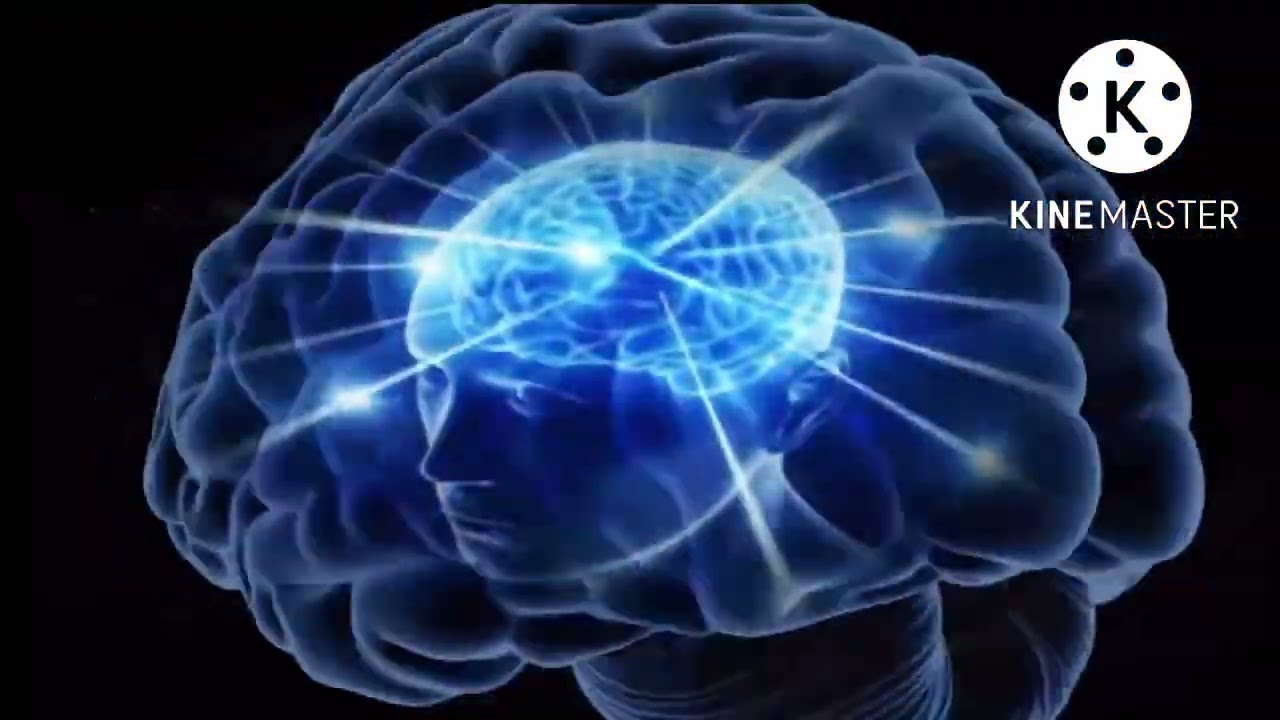 Galaxy brain meme - YouTube