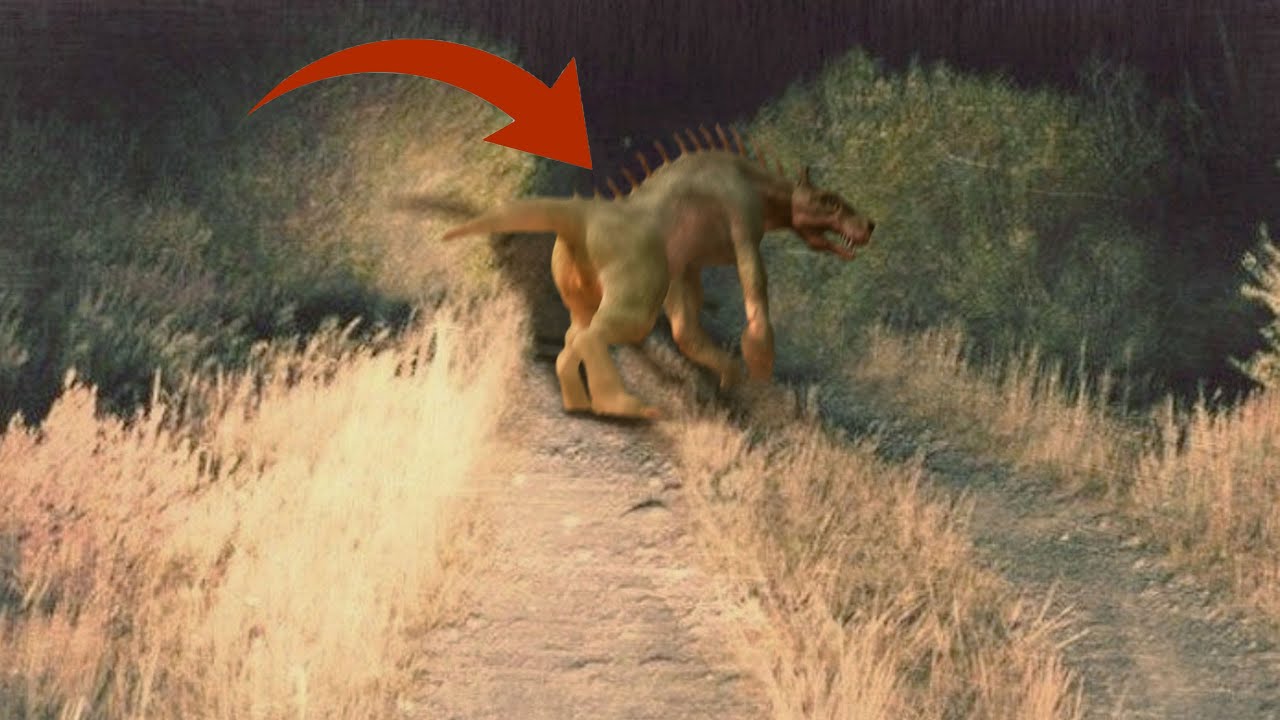 5 Horrifying Creatures Ever Caught on Camera. - YouTube