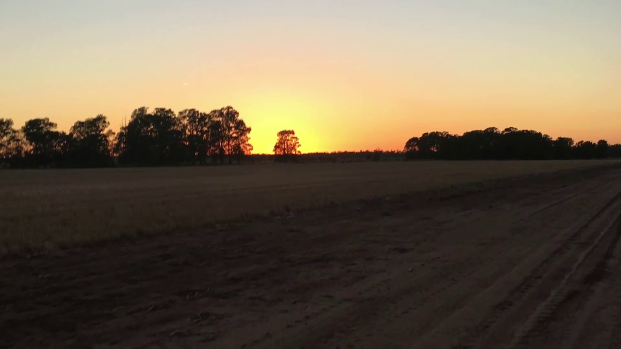 Pigging, Quad bikes and farming. Moonie, Qld. - YouTube