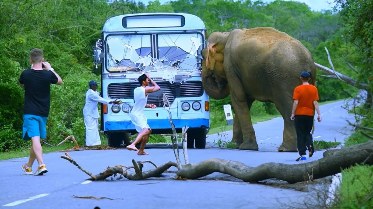 Be careful as there may be obstacles like these on the way of fierce ...