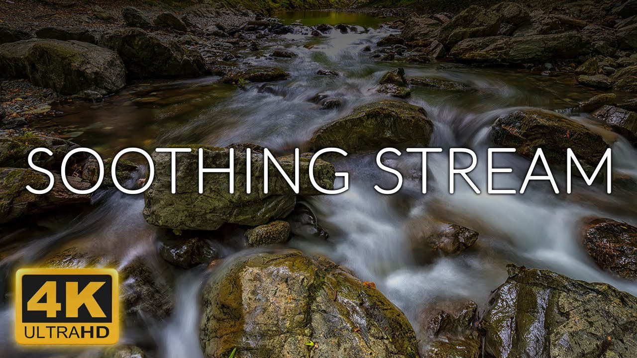 4K Trickling Stream with Ambient White Noise for Sleep, Meditation ...