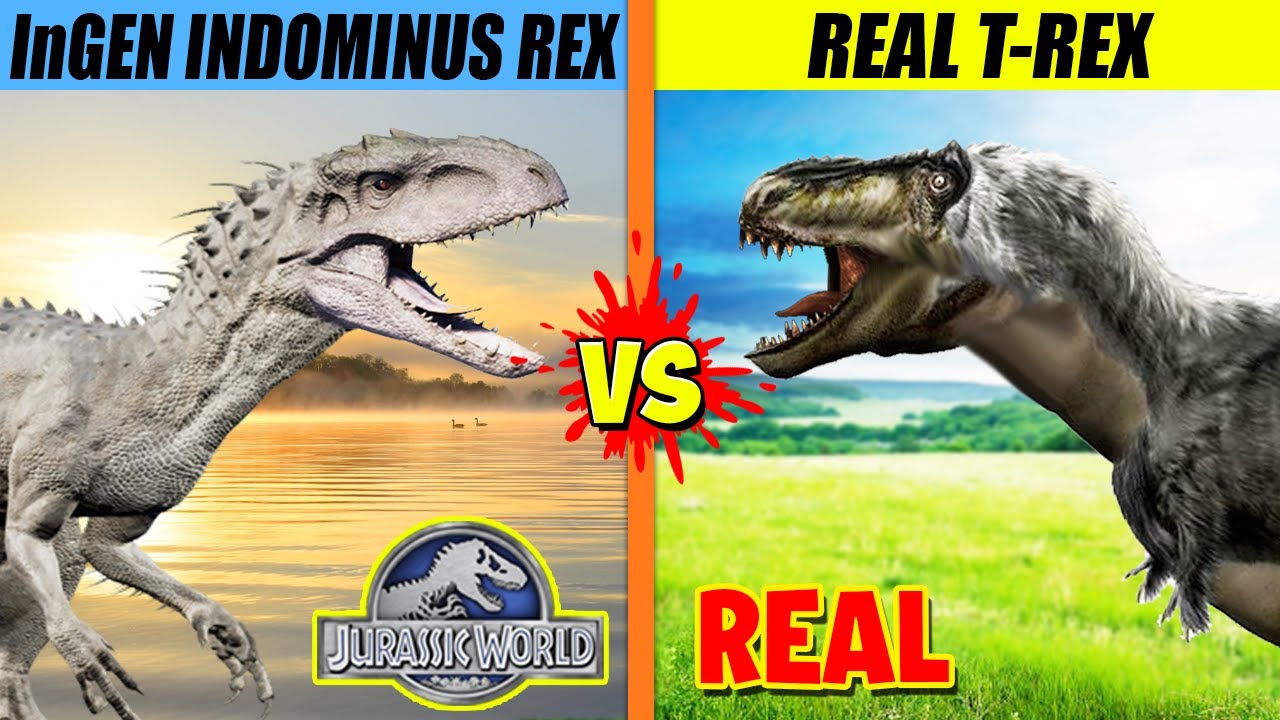 Rex Fight: Jurassic World Indominus Rex vs Real Life T-Rex | SPORE ...